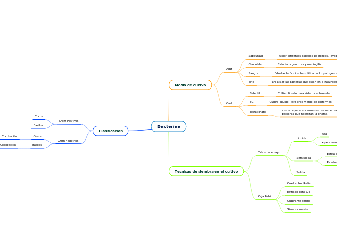 Bacterias - Mind Map